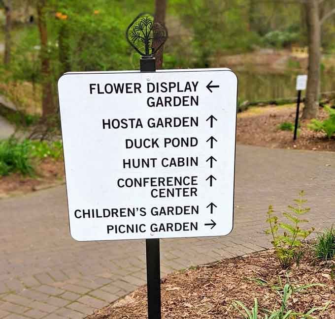 Clear signage means you won't get lost, unless you're trying to, which is fair.