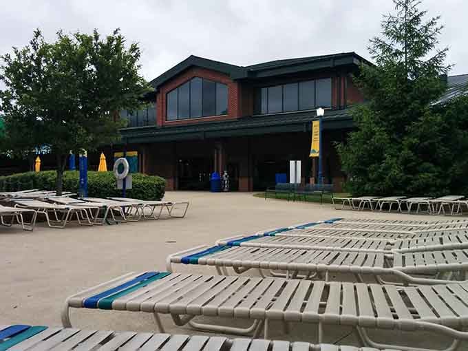 Rows of lounge chairs await those smart enough to claim their spot early for maximum relaxation time.