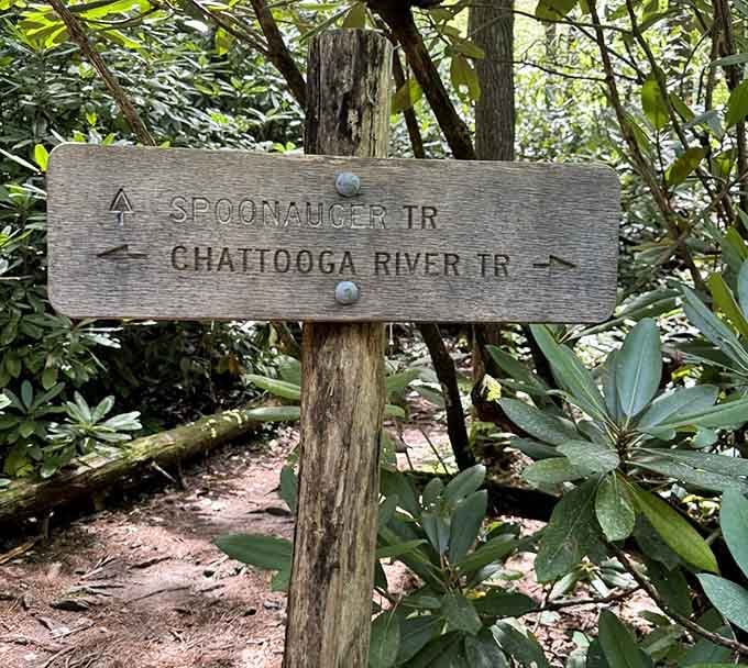 Follow the signs and you'll find your way&mdash;getting lost is harder than you think here.