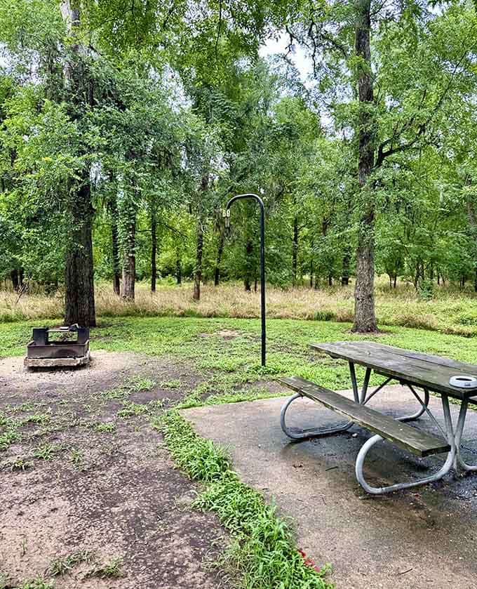 Picnic tables scattered throughout offer front-row seats to nature's show, where every meal tastes better under the canopy.