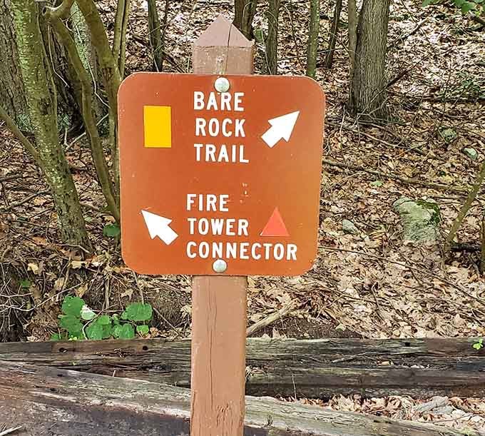 Trail markers point adventurers toward panoramic views and memorable hikes, because getting gloriously lost requires proper signage first.