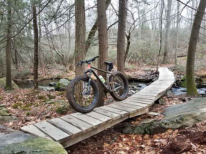 Even mountain bikes need a rest after tackling these trails, parked on a wooden bridge like exhausted but satisfied adventurers.