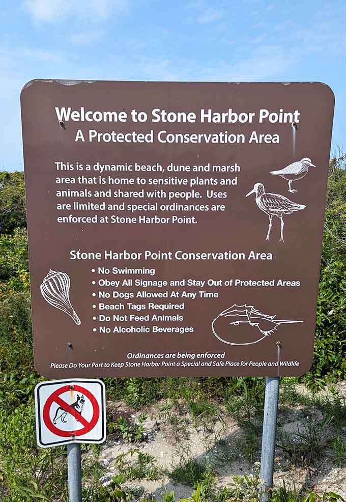 This sign marks where civilization politely steps aside and lets nature run the show for a while.