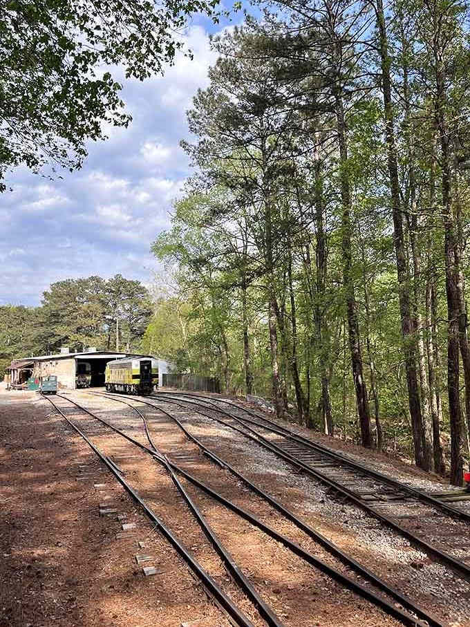 Behind the scenes, the train depot keeps these vintage beauties ready for their next scenic loop.