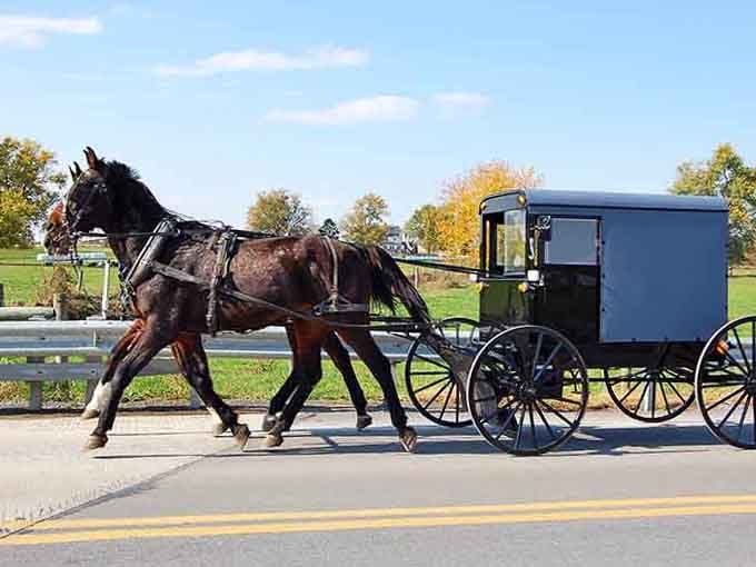 A horse and buggy cruising down the road, making your commute look ridiculously complicated by comparison.