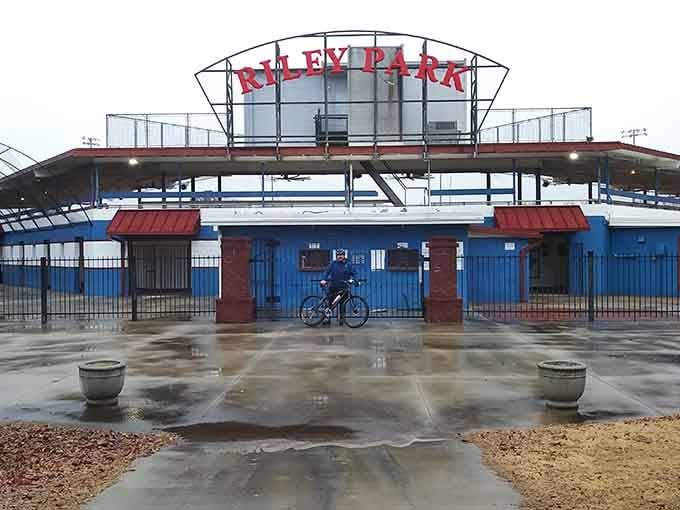 Riley Park's classic baseball stadium stands ready for America's favorite pastime and community gatherings alike.
