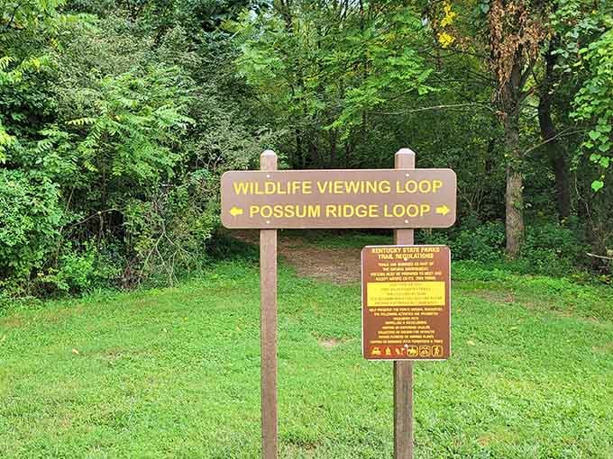 Clear signage means you'll actually find what you're looking for without needing a compass or survival training.