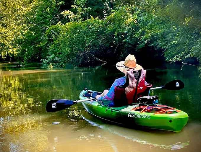 Peaceful paddling through emerald waters where the only traffic jam involves deciding which way to explore.