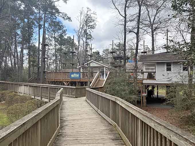 The pathway leads you deeper into the forest, where ordinary rules of gravity seem negotiable and adventure awaits.