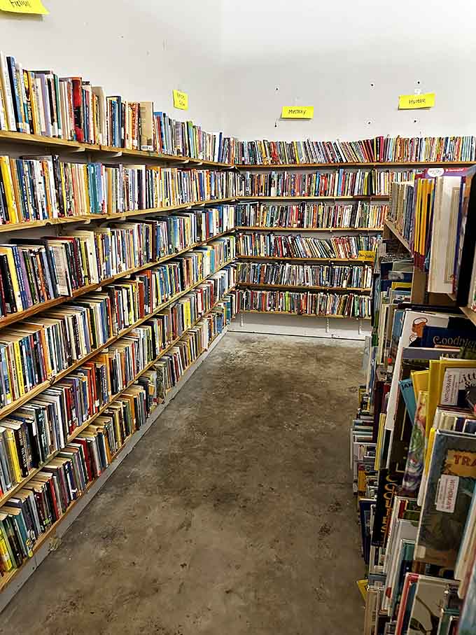 Corner shelving units maximize every square inch, because when you're rescuing books, wasted space is practically a crime.