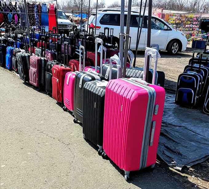 Luggage stands ready like a chorus line of travel dreams, each piece eager for adventure.