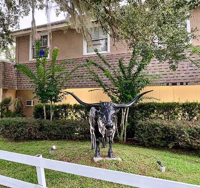 A metal longhorn sculpture standing guard reminds you that cattle country isn't just out West anymore.