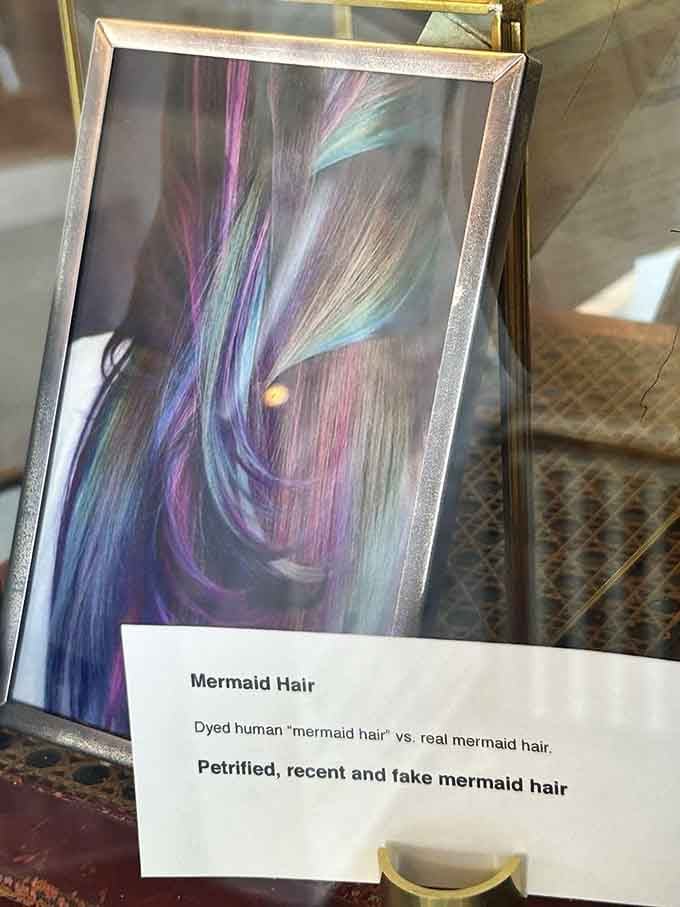 The museum's tongue-in-cheek humor shines through with exhibits comparing real versus fake mermaid hair, because why not have fun?