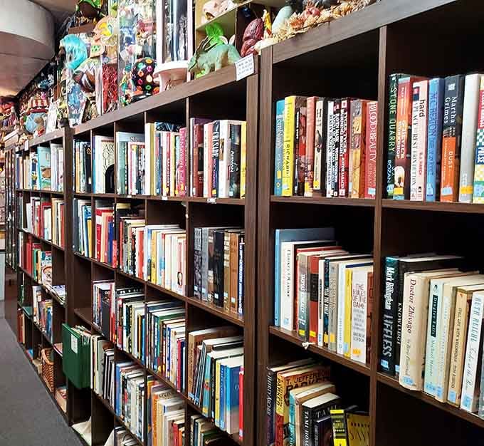 Book lovers rejoice at shelves packed with reads spanning genres, each spine promising stories and knowledge at thrift-store prices.