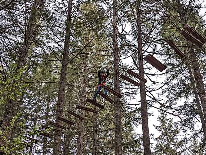 Young adventurers prove that age is just a number when it comes to conquering fears and navigating aerial obstacle courses.