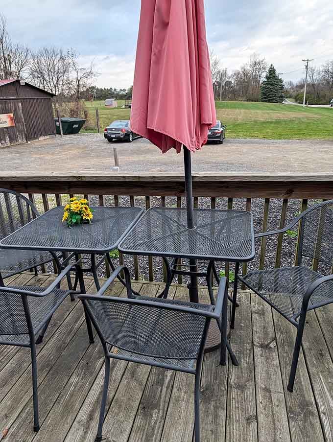 Outdoor seating with countryside views, because sometimes ribs taste even better with a side of fresh Ohio air.