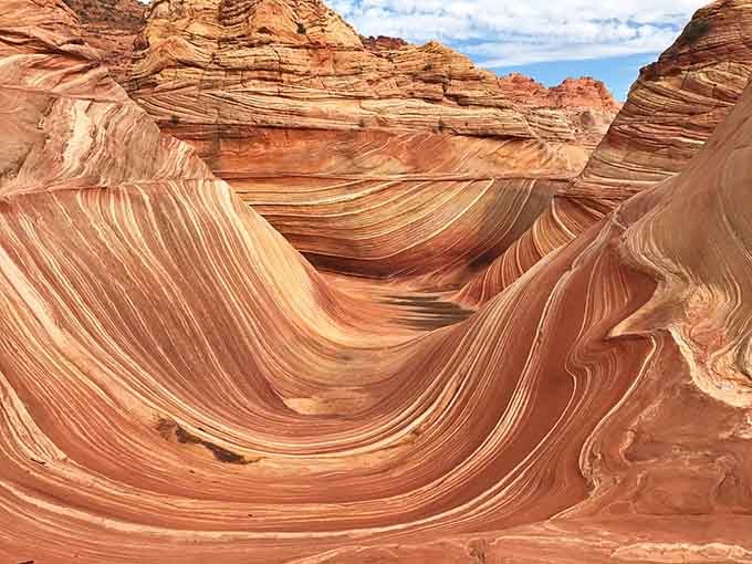 The Wave's flowing lines make you wonder if Salvador Dali secretly moonlighted as a landscape architect.