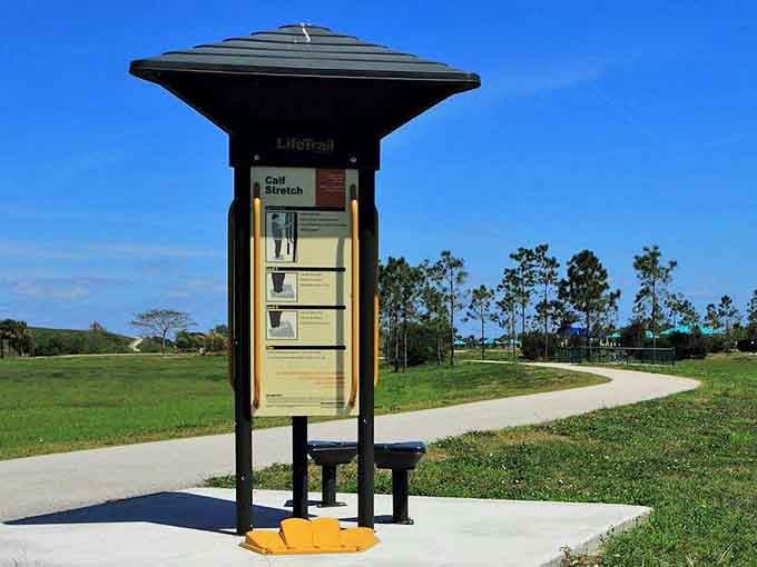Outdoor fitness stations prove getting healthy can happen with a view, making exercise almost feel like a reward itself.