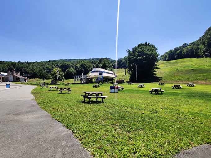 Picnic tables dot the green slopes, ready for post-hike sandwiches that taste exponentially better after earning those calories.