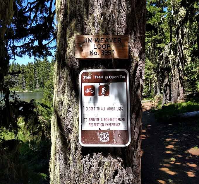 The Jim Weaver Loop welcomes hikers and bikers to 22 miles of pristine wilderness &ndash; chainsaws need not apply.