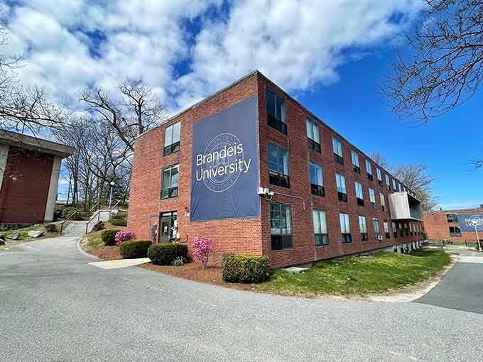 Brandeis University's brick buildings blend seamlessly into Waltham's landscape, creating an intellectual oasis in the suburbs.