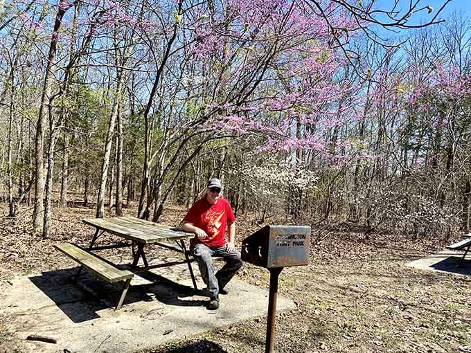 Spring blooms frame picnic spots where lunch tastes better simply because you're eating it outside.