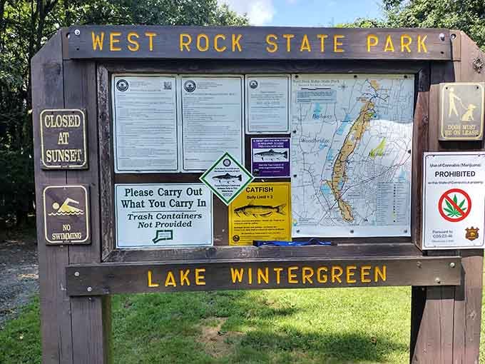 The information board at Lake Wintergreen shares everything you need to know before your adventure begins here.