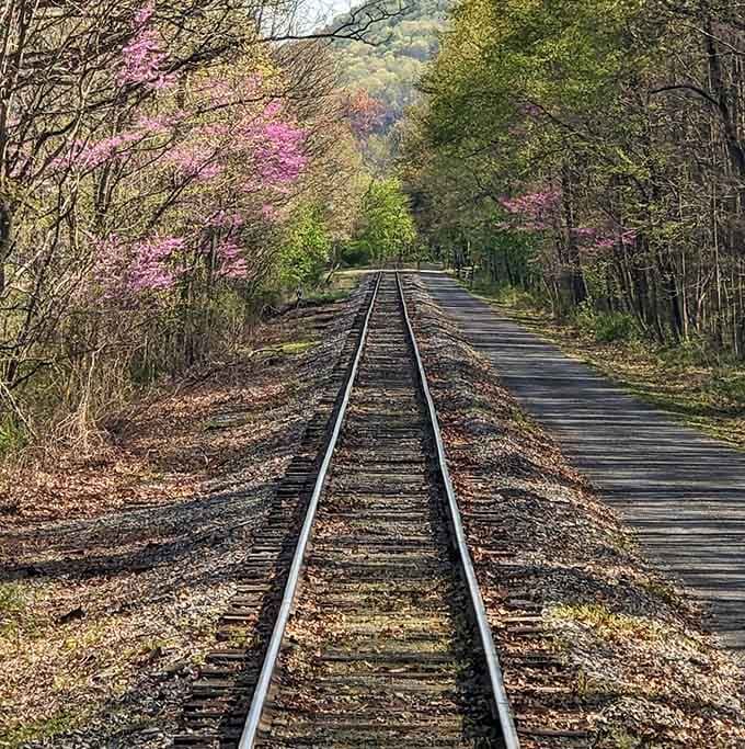Spring blooms frame the tracks ahead, promising a journey through nature's own carefully curated art gallery.