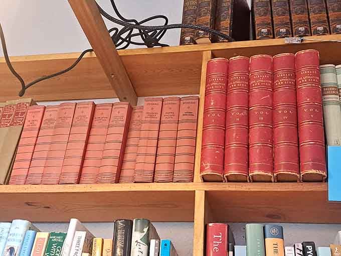 Vintage volumes in classic bindings remind us that some books are meant to be collected, not just read.