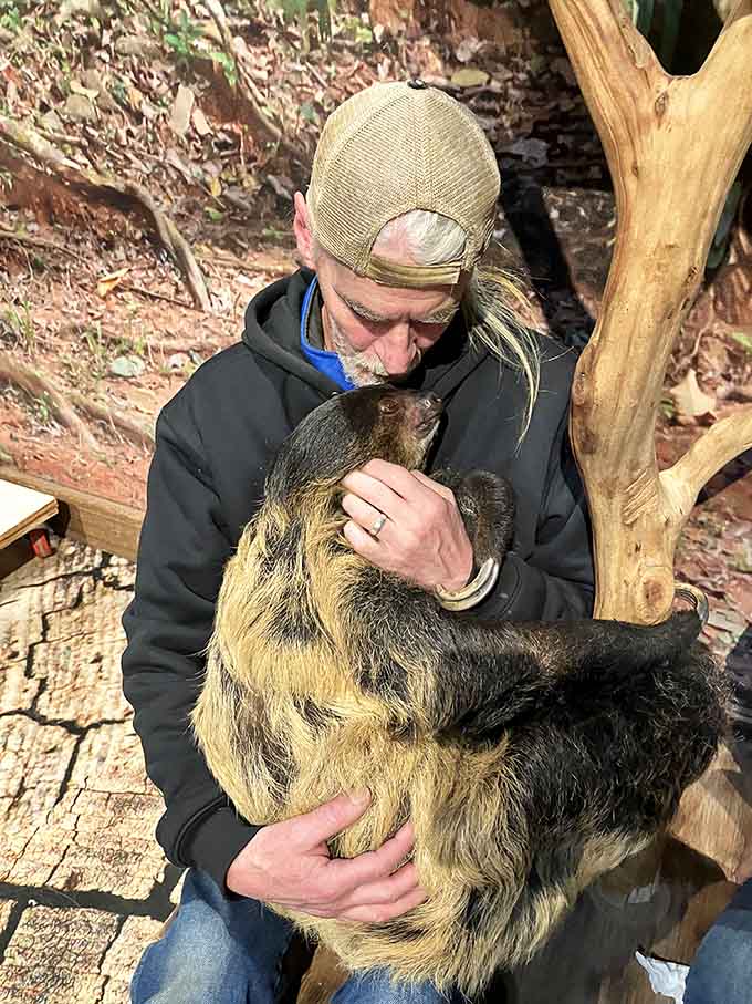 Someone cuddles a sloth in what might be the most zen moment anyone's ever experienced in Indiana's great outdoors.