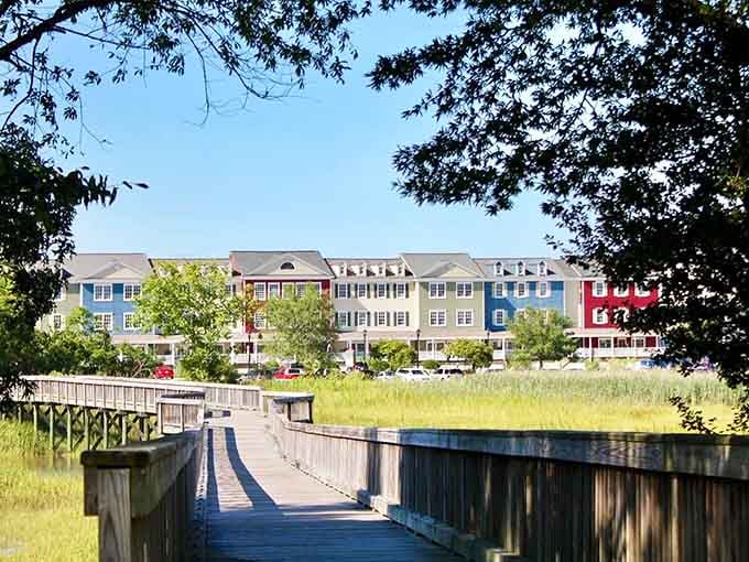 The scenic boardwalk extends over wetlands, offering perspectives you'd otherwise need waders to enjoy.