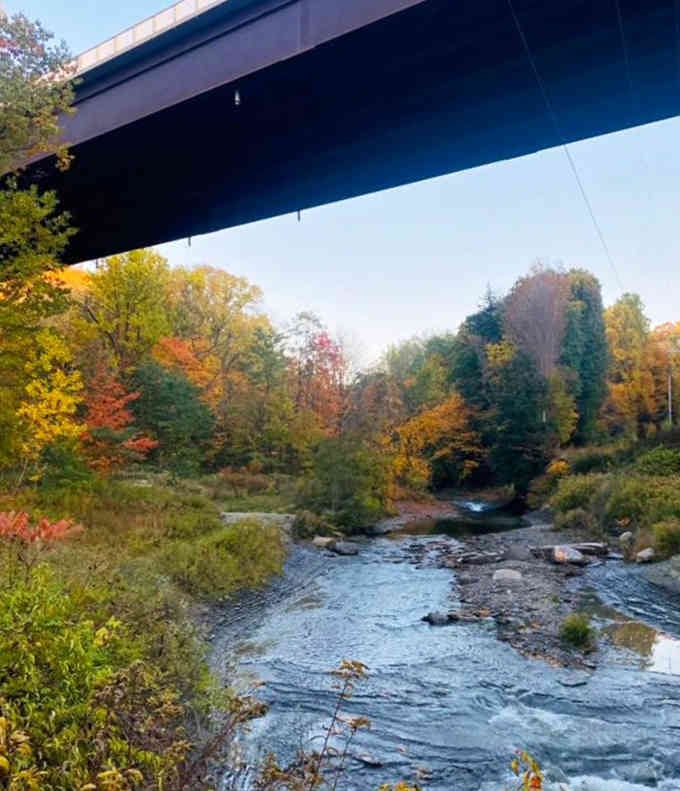 The bridge overhead reminds you that civilization exists, even when you're standing in this timeless natural sanctuary.