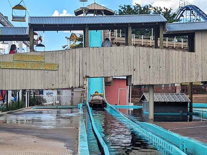The log ride's splashdown zone where getting soaked is the whole point of the experience.
