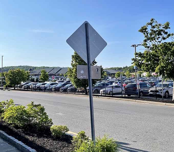 Rows of parked cars stretching toward rolling hills signal the magnetic pull this shopping destination holds for bargain hunters statewide.