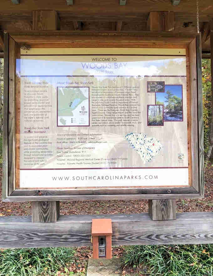 Information boards share the park's secrets, though honestly the swamp itself tells better stories if you just listen.