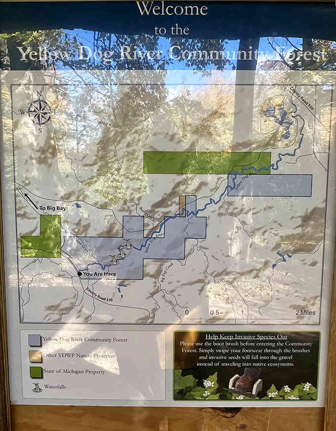 The trail map welcomes you to the Yellow Dog River Community Forest, where getting lost is half the fun.