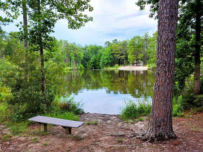 A simple bench overlooks peaceful lake water, offering the kind of quiet contemplation that's harder to find these days.