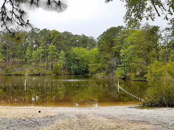Storm clouds gather over a swimming area where sandy beach meets forest, creating dramatic lighting for an afternoon dip.