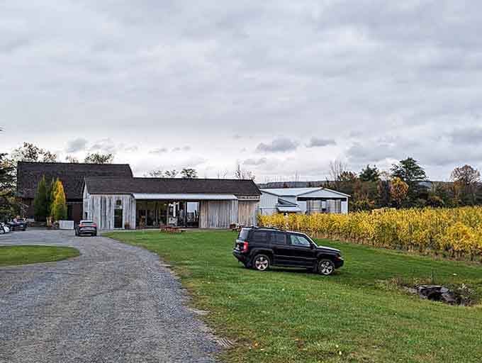 The modern tasting room sits beside golden autumn vines like old friends enjoying the changing seasons together.