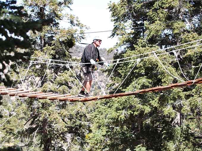 Finding your balance thirty feet up, where concentration meets contemplation and possibly some creative vocabulary choices.