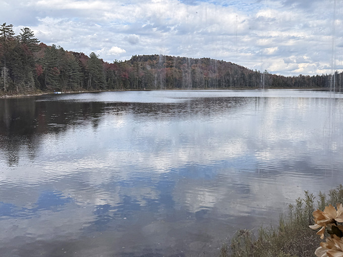 Multiple train cars lined up at the station, each one ready to carry passengers into the wilderness.