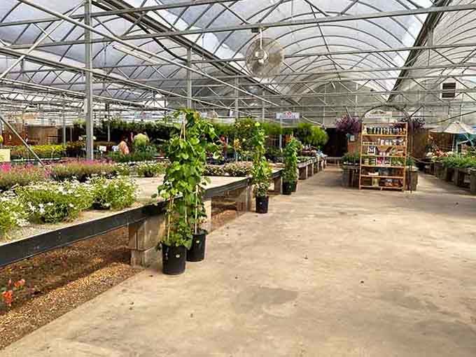 A greenhouse full of possibilities where your future garden dreams are just waiting to be loaded into your cart.