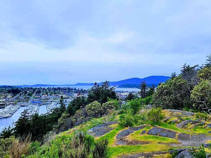 Cap Sante Park delivers panoramic views that make the climb totally worth abandoning your initial lazy Sunday plans.