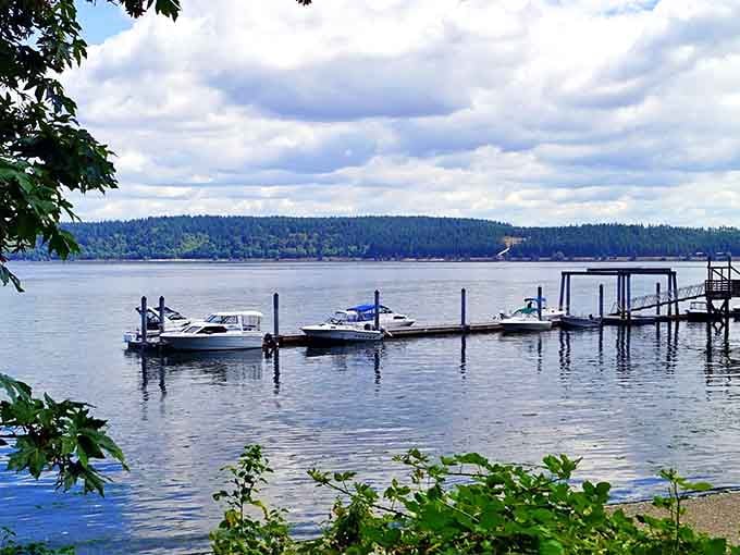 Marina docks where boats bob gently, waiting to explore waters that make you question every landlocked life choice.
