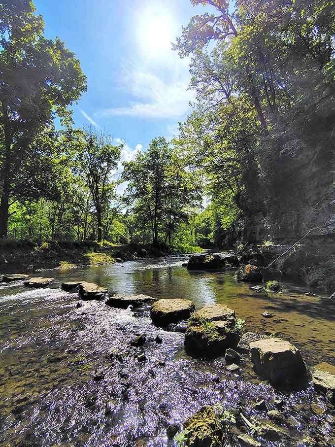 The river sparkles through trees like nature's own light show, free admission for patient observers.