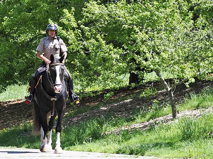 Even the mounted patrol appreciates this green sanctuary, proving everyone needs a nature break sometimes.