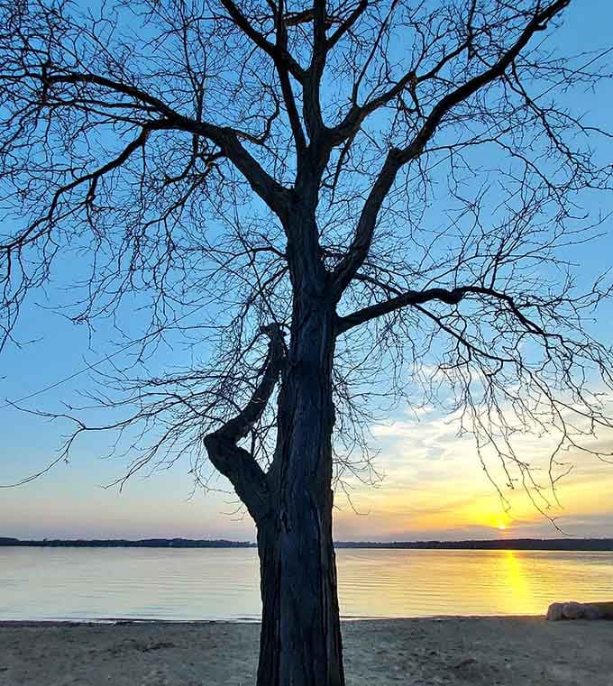 Bare branches frame winter sunsets beautifully, proving this lakeside gem shines in every season of the year.