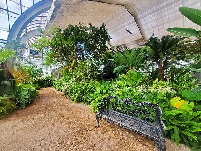 Inside the greenhouse, tropical plants thrive in their climate-controlled paradise, living better than most houseplants ever dream.