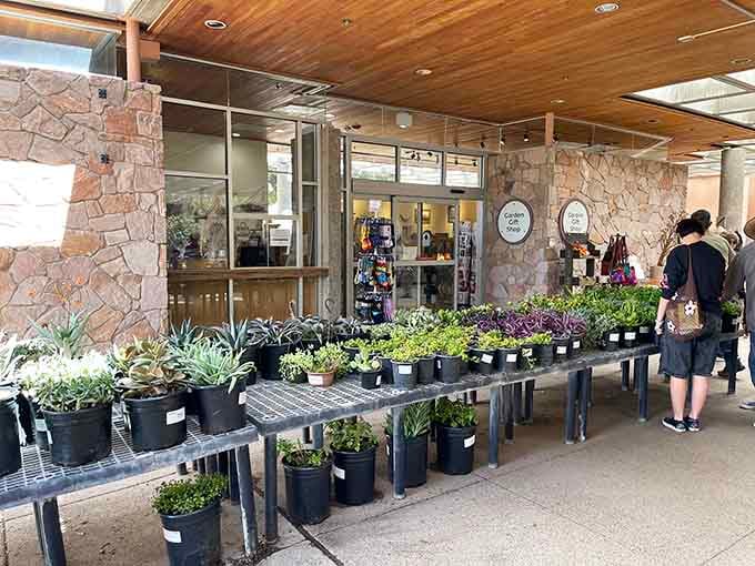 The plant sale area tempts visitors to take home a piece of the arboretum, because one cactus is never enough.