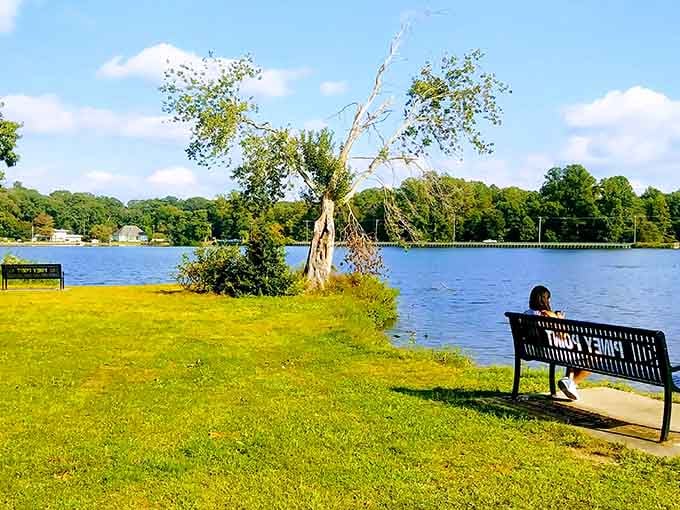 Piney Point Picnic Area offers lakeside relaxation where the only thing you'll spend is time enjoying the view.